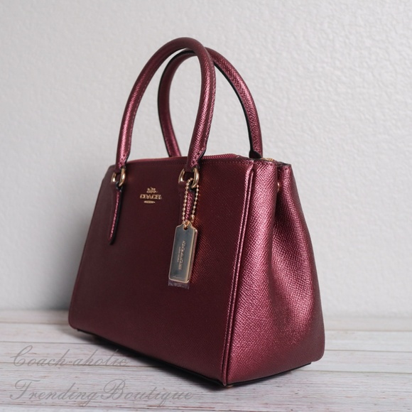 Coach | Bags | Nwt Coach Metallic Leather Mini Surrey Carryall | Poshmark